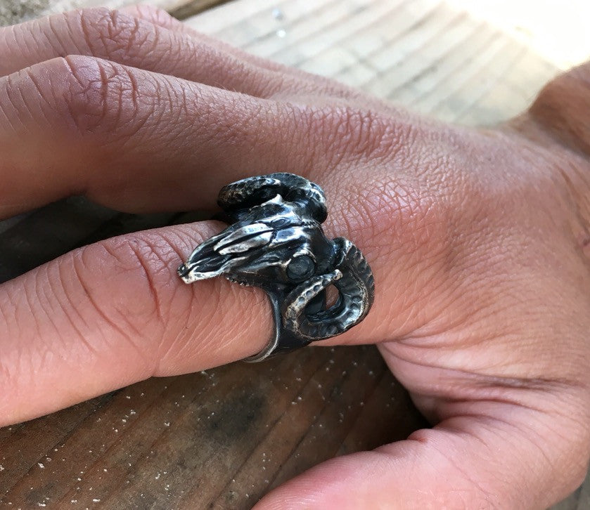 ram skull ring – Kimi Kaplowitz