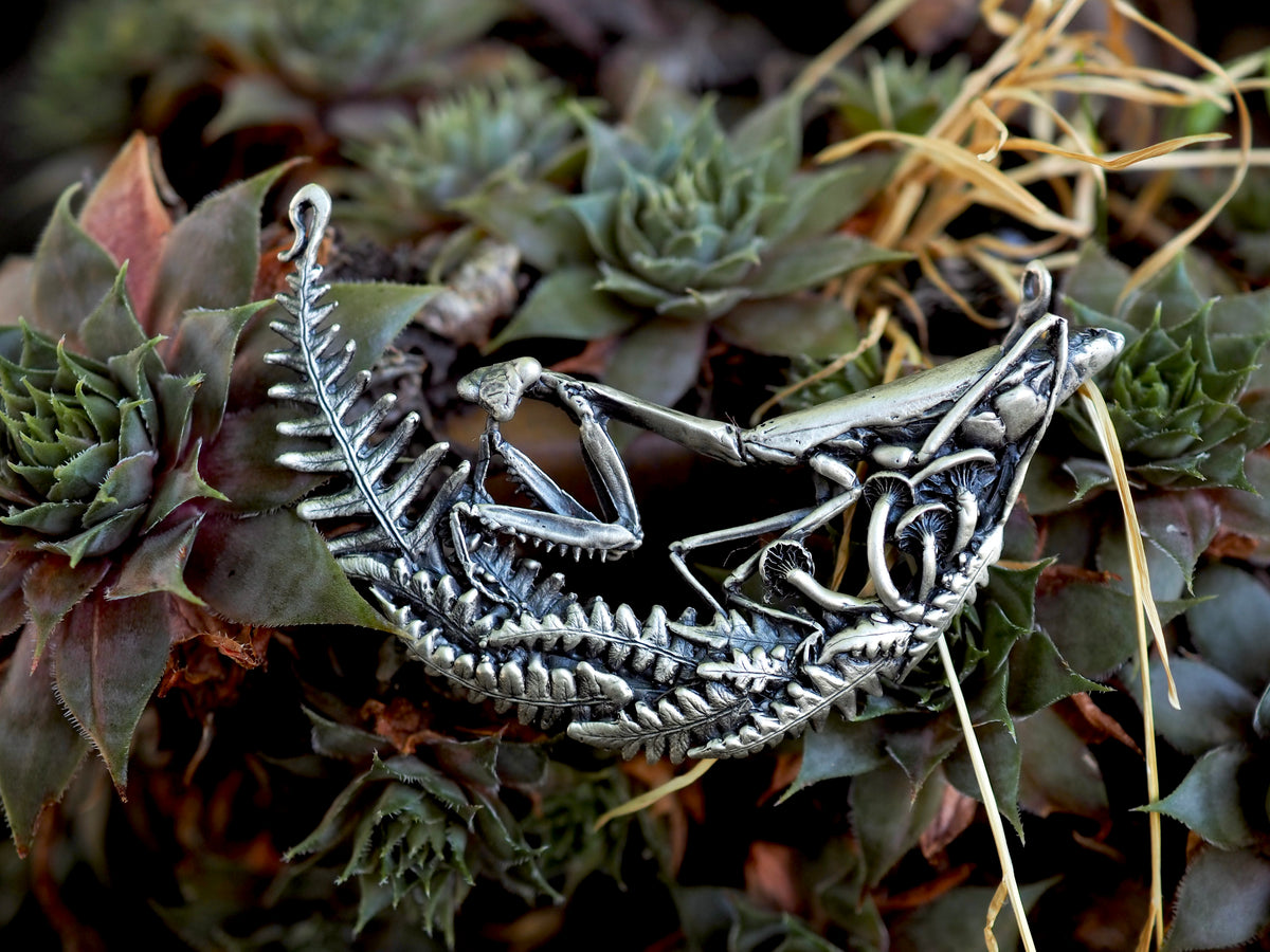 Insects – Kimi Kaplowitz